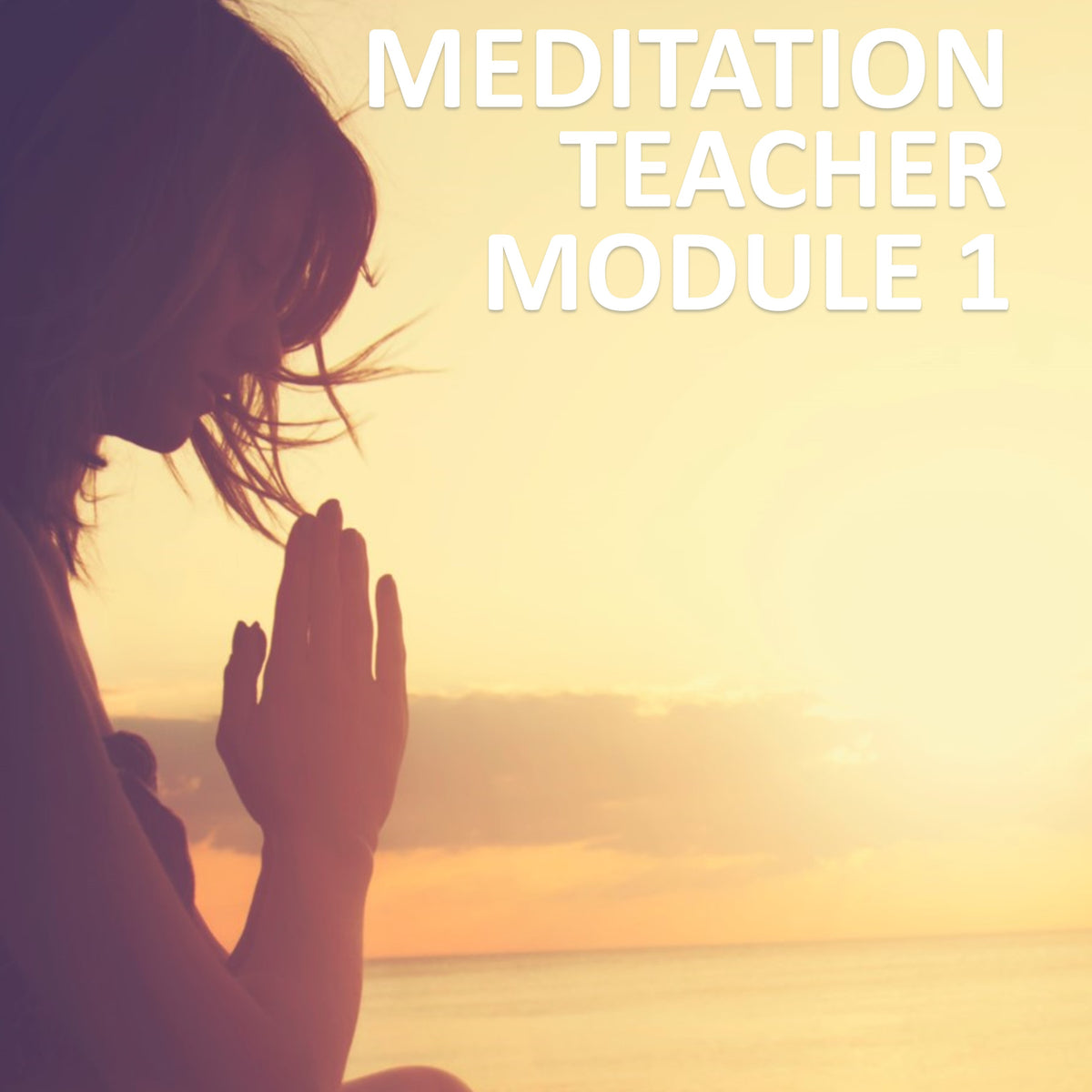 Meditation Teacher syllabus | Yoga 2 Hear